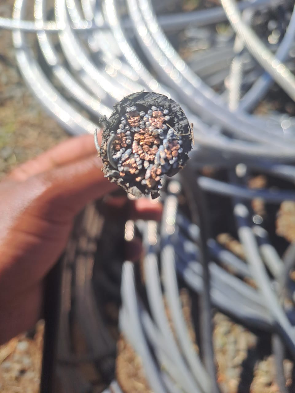 TenderDetails - TRANSNET E-TENDERS